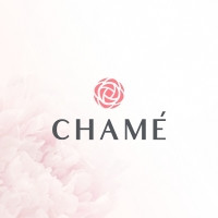 Press Releases | Chame Corporation