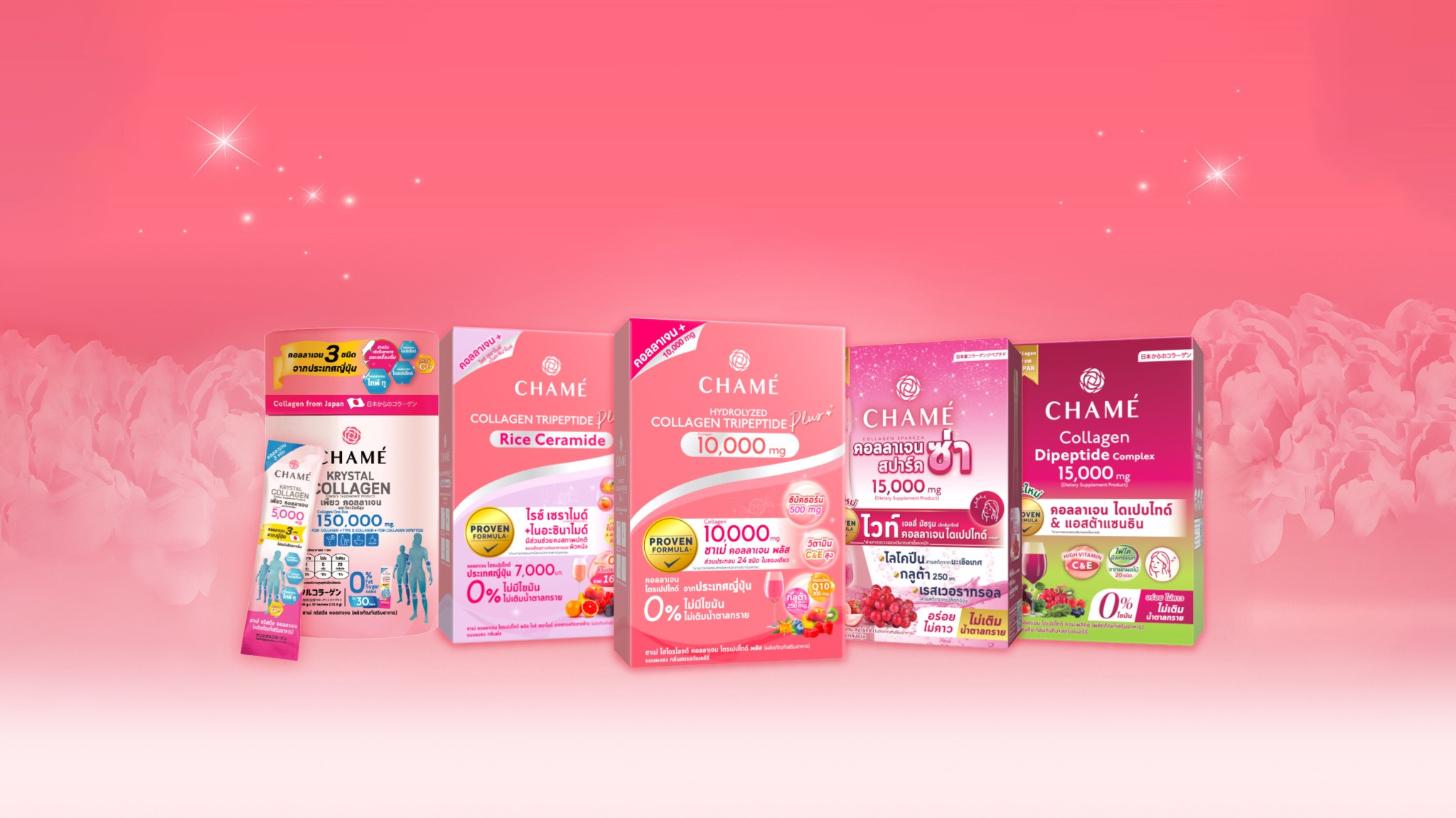 CHAMÉ | Chame Corporation